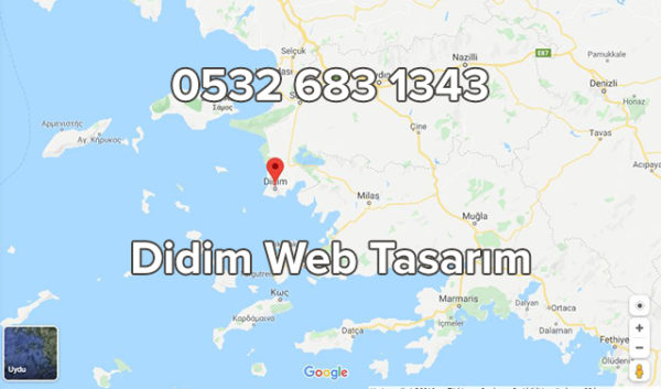 Didim Web Tasarım - İnnova Web Tasarım Firması 0532 683 1343